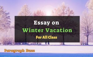 Essay on Winter Vacation for All Class Students