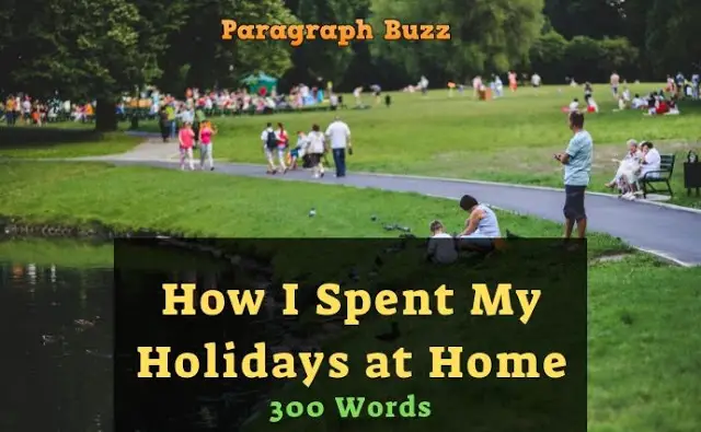 Essay on How I Spent My Holidays at Home Essay on How I Spent My Holidays at Home