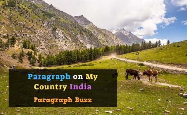 Paragraph on My Country Pakistan for Students