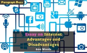 Essay on Internet Advantages and Disadvantages for Class 1-12